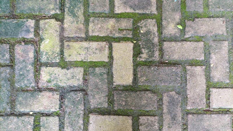 Old and Dirty Paving Blocks. Stock Image - Image of garden, pavement ...