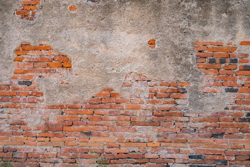 Old Dirty Red Brick Wall with Tree Roots Plant Branch or Ivy Pattern ...
