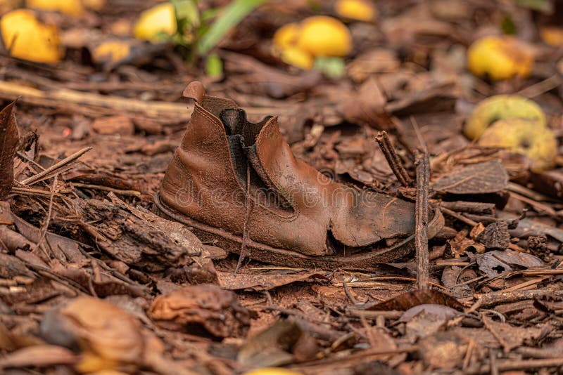 Old Dirty Spoiled Leather Boot Stock Photo - Image of forest, trash ...