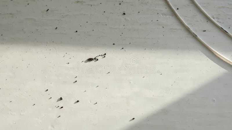 Old Dirty Stained White Window Sill Stock Photo - Image of corner ...