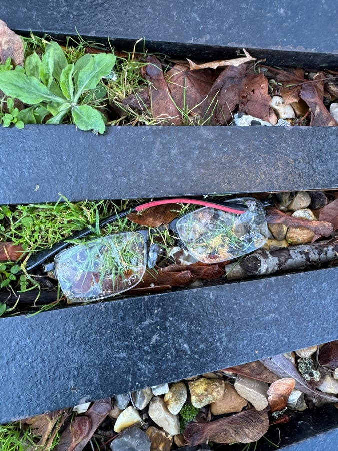 Old Discarded Spectacles Lying on Ground in Drain Grid Stock Photo ...