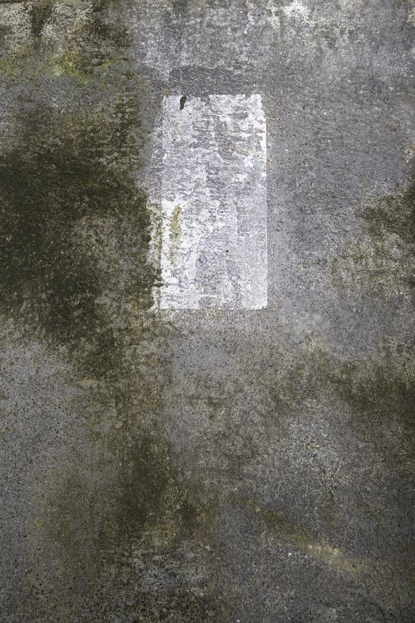 Old and Distressed Concrete Wall with Black Mold and Painted White ...