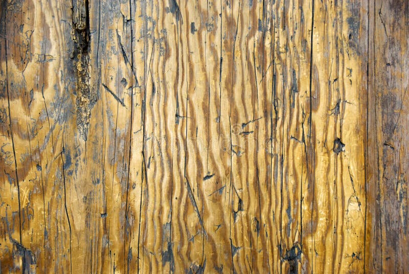 Old Distressed Wood stock image. Image of softwood, patina - 12096985