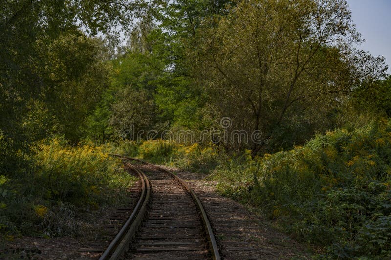 Old Disused Railway Tracks Running through the Forest Stock Photo ... Old Disused Railway Tracks Running through the Forest Stock Photo ...