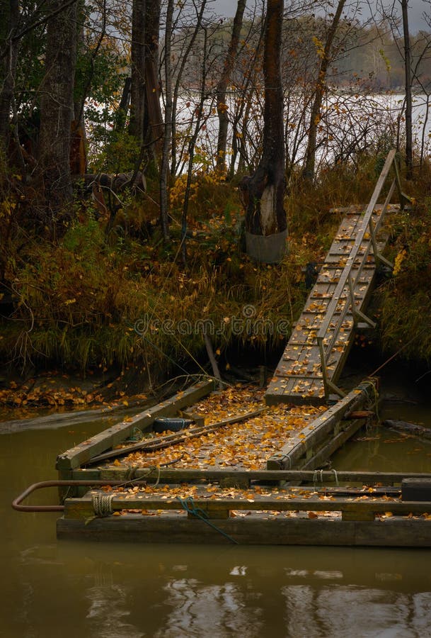 Old Dock and Ramp stock image. Image of overgrown, lake - 201924241