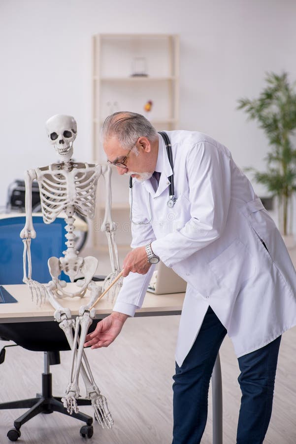 Old Male Doctor Demonstrating Human Skeleton Stock Photo - Image of ...