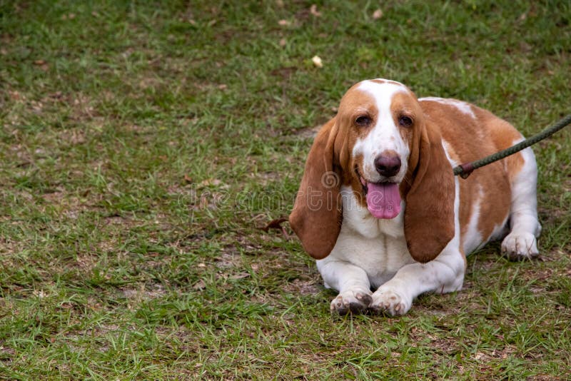 Top Down and Horizontal View of Dirty White Sneakers Shoes Standing on ...