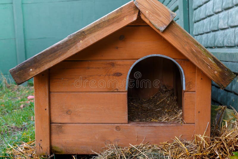Old doghouse. stock photo. Image of brown, green, farm - 80818030