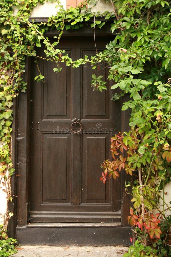 Old door stock image. Image of doorway, entrances, concept - 6162365