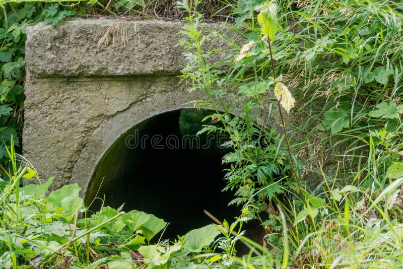 Old Drain Pipe Picture. Image: 106831332