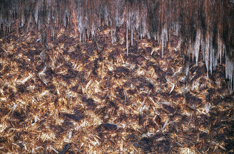 Old Dried Out Sheet of Oriented Strand Board Stock Image - Image of ...