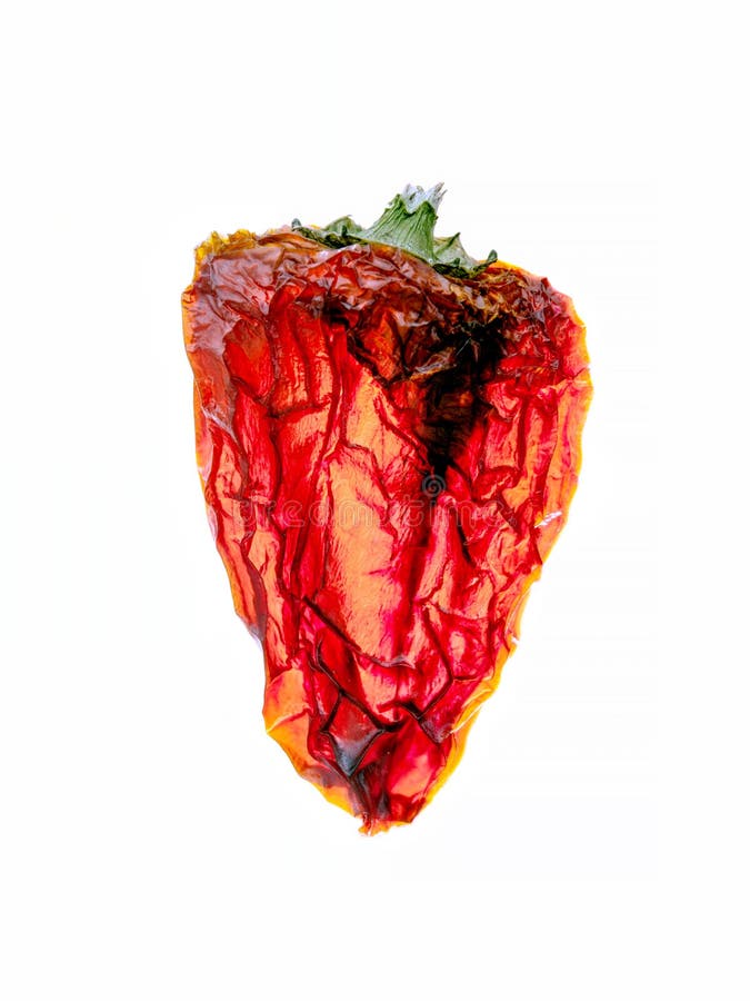 Old Dried Red Pepper in Art Style. Vintage Stock Image - Image of ...