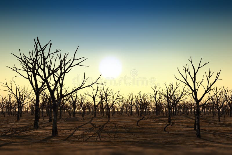 Old dried trees stock illustration. Illustration of brown - 28906870