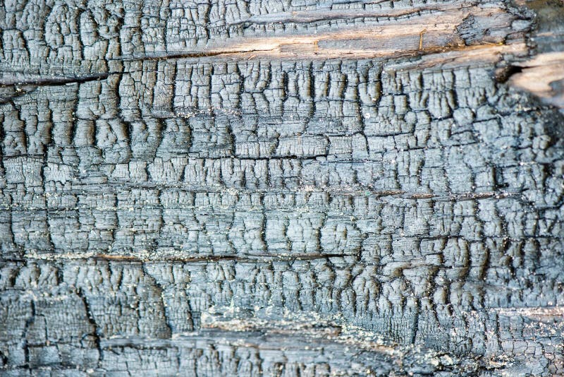 Old Dry Burned Wooden Planks Stock Image - Image of died, urban: 75485115