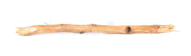 Old Dry Tree Twig Isolated on White Stock Photo - Image of dead, snag ...