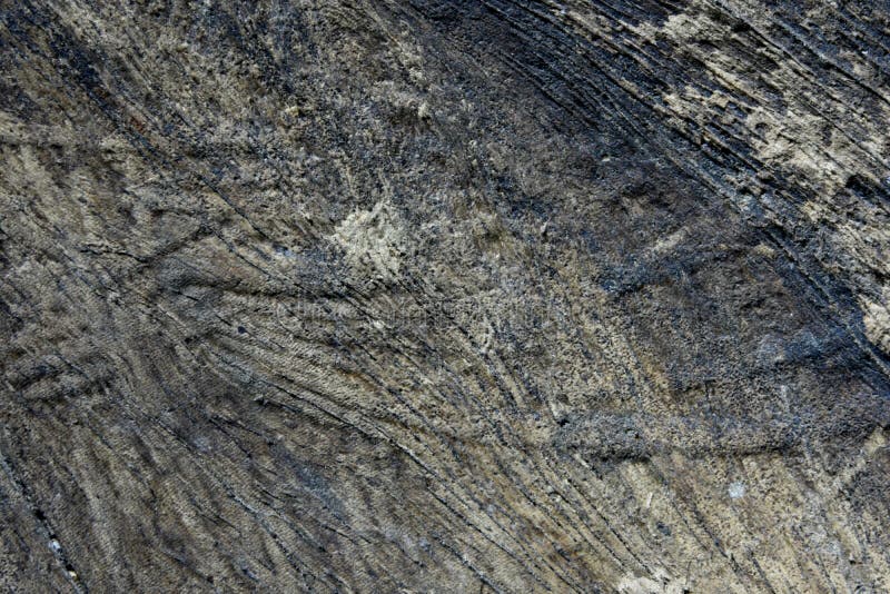 Old Dry Wood Texture Brown with Cracks for the Background Stock Image ...