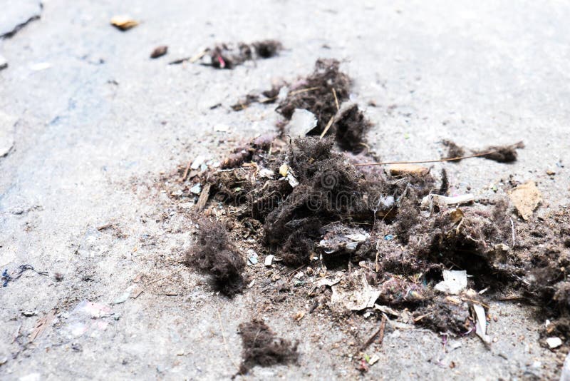 Old dust and garbage stock image. Image of garbage, ground - 109531293