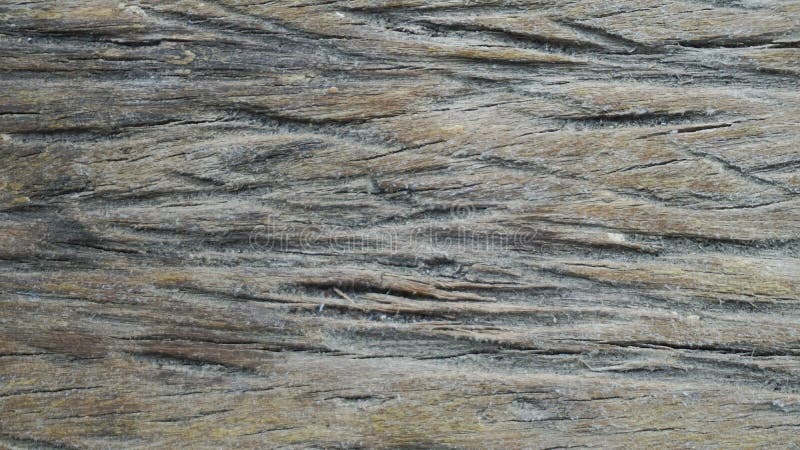 Old and Dusty Wood Floor with Dry Wood Leaves Stock Image - Image of ...