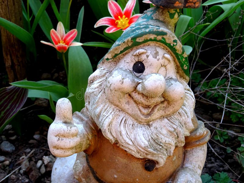 Thumbs up dwarf stock image. Image of plant, monument - 214394191
