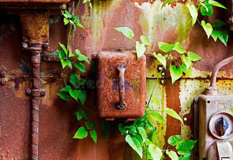 Old Electrical Panel on Iron Wall and Leaves of Ivy Stock Photo - Image ...
