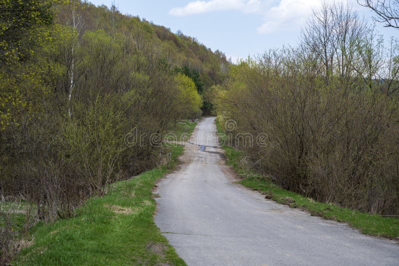Old and Empty Asphalt Road in the Forest Stock Photo - Image of green ...