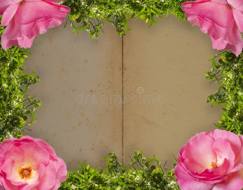 Old Empty Book and Frame of Rose Flowers and Orange Branches. Stock ...