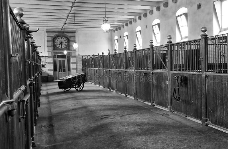 Empty Stable stock photo. Image of interior, inside, indoor - 33513028