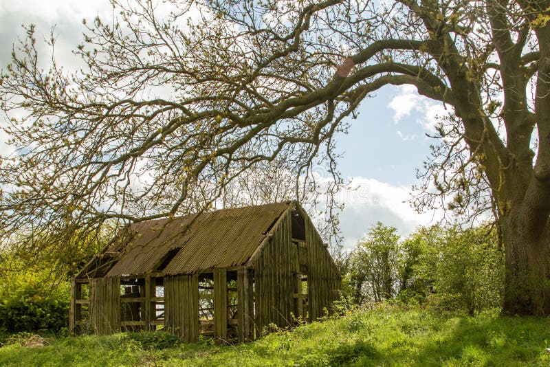 English hay barn interior stock photo. Image of agriculture - 35393146