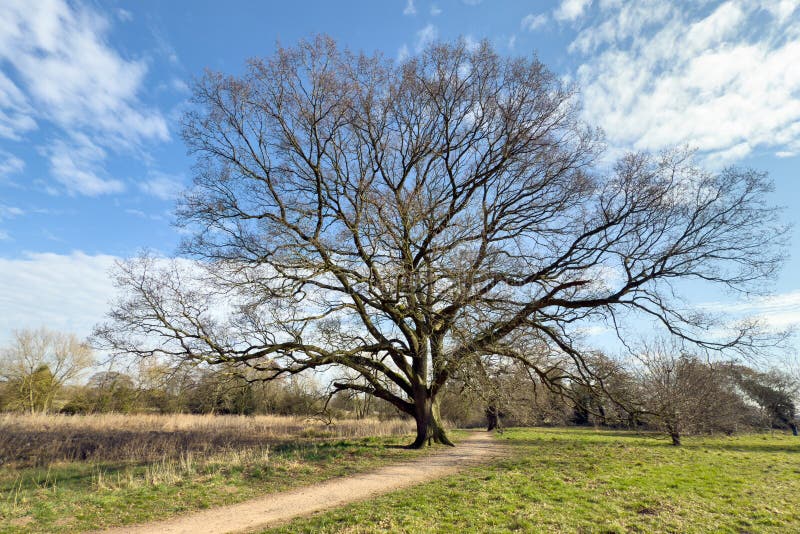 5,135 British Mature Stockings Stock Photos - Free & Royalty-Free Stock ...