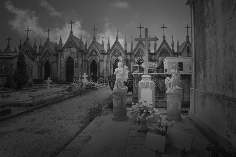 Old cemetery at night stock image. Image of graveyard - 226336877