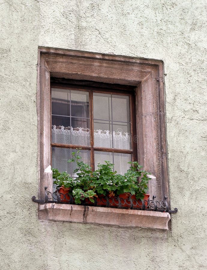 Old European Window with Plant Stock Image - Image of summer, european ...