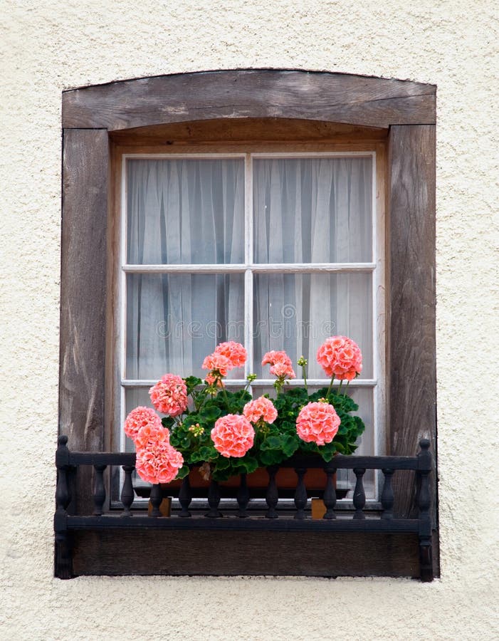 1,700+ European window Free Stock Photos - StockFreeImages