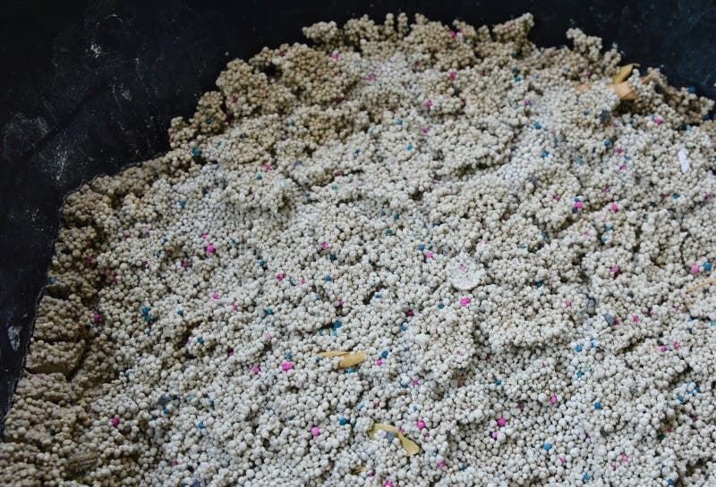 Old and expired cat litter stock image. Image of sand - 53463381