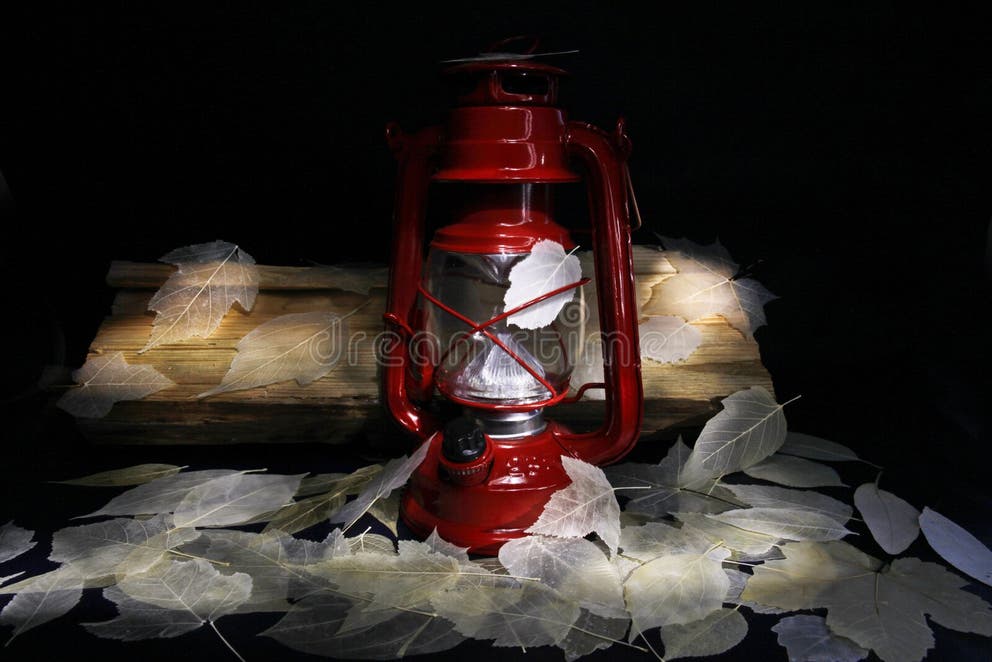 Old Extinct Lamp with White Leaves Stock Image - Image of leaves, light ...