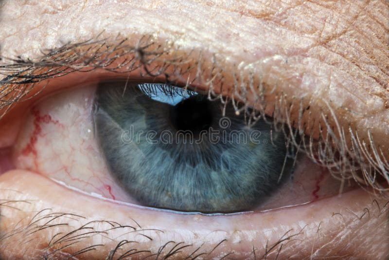 Old eye stock photo. Image of people, healthy, rejuvenation - 46174422