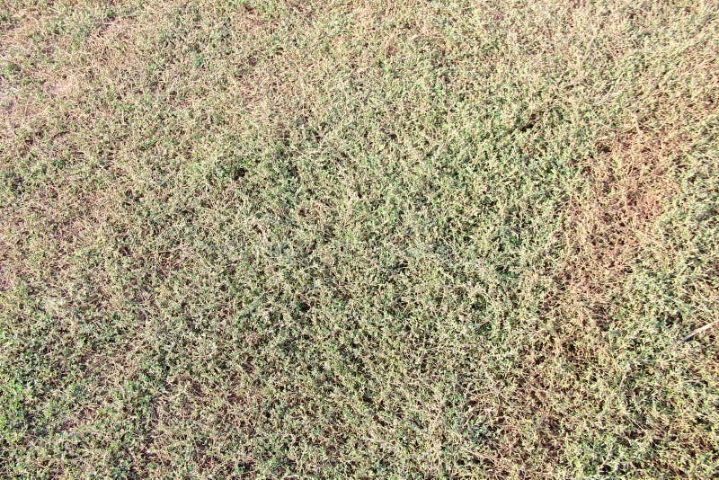 Faded Football Background Stock Photos - Free & Royalty-Free Stock ...