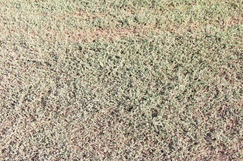 Faded Football Background Stock Photos - Free & Royalty-Free Stock ...