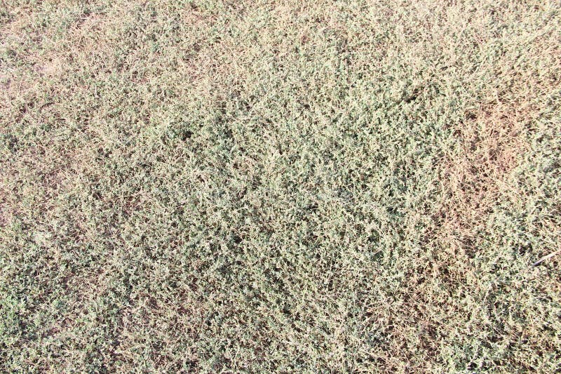 Faded Football Background Stock Photos - Free & Royalty-Free Stock ...