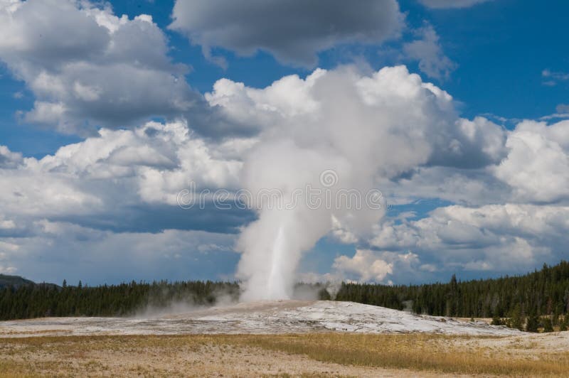 Old Faithful stock photo. Image of faithful, erupt, geyser - 10977294