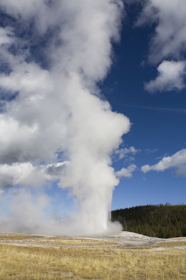 Old Faithful 2 stock photo. Image of steam, sulfur, boiling - 8351050