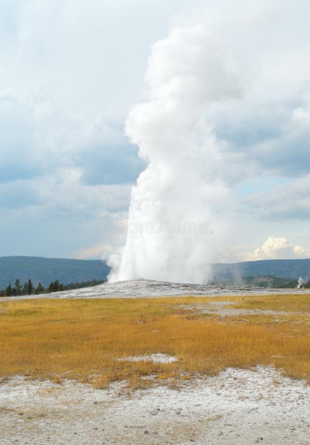 Old Faithful stock photo. Image of united, preserve, national - 21536866