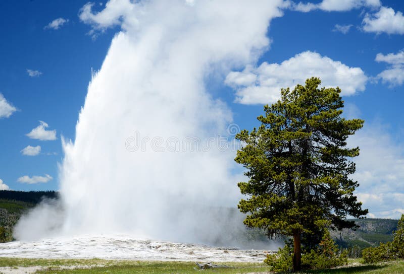 Old Faithful Geyser Erupts Right on Schedule. Stock Image - Image of ...
