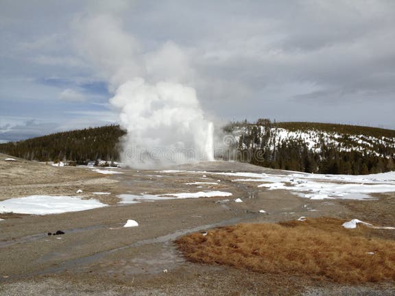 Old Faithful Geyser stock photo. Image of exploding, park - 40783704