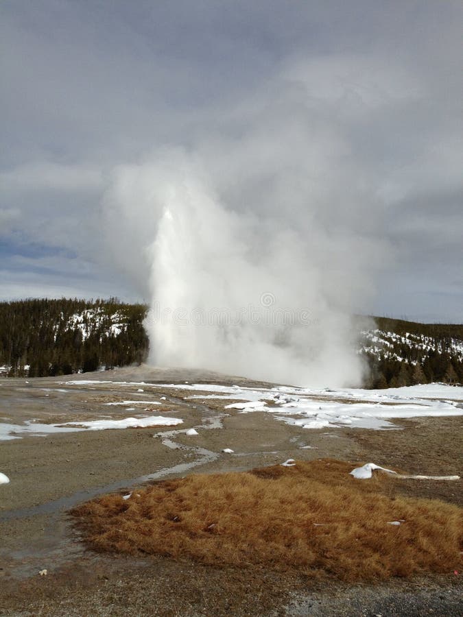Old Faithful Geyser stock image. Image of yellowstone - 40783705