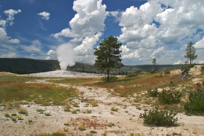 Old Faithfull stock image. Image of steam, yellowstone - 4120309