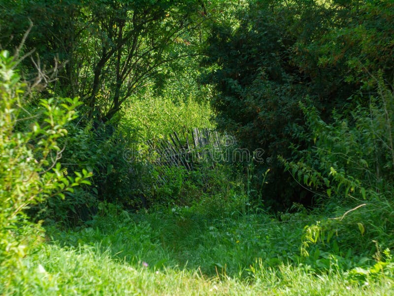 Old Fallen Fence in the Village Stock Photo - Image of outdoor ...