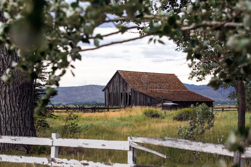 Old Falling Down Barn in a Field Stock Photo - Image of meadow, scrap ...