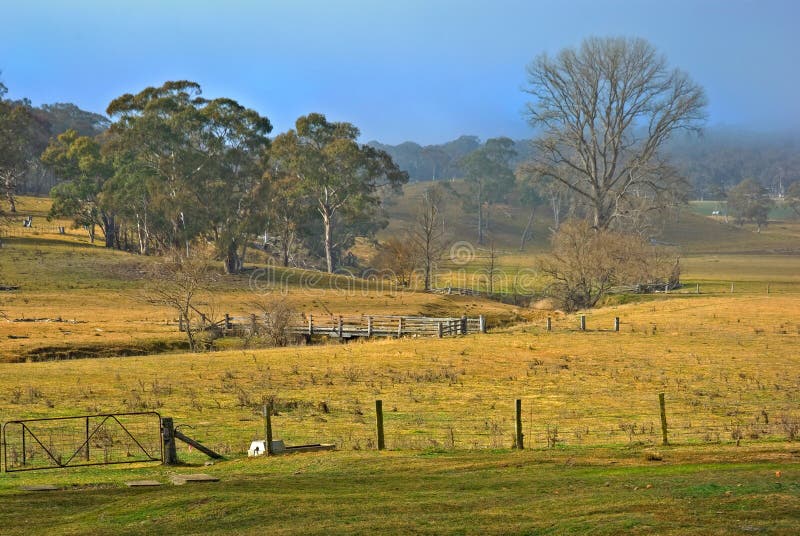 Old farm stock photo. Image of paddock, bridge, country - 4892840