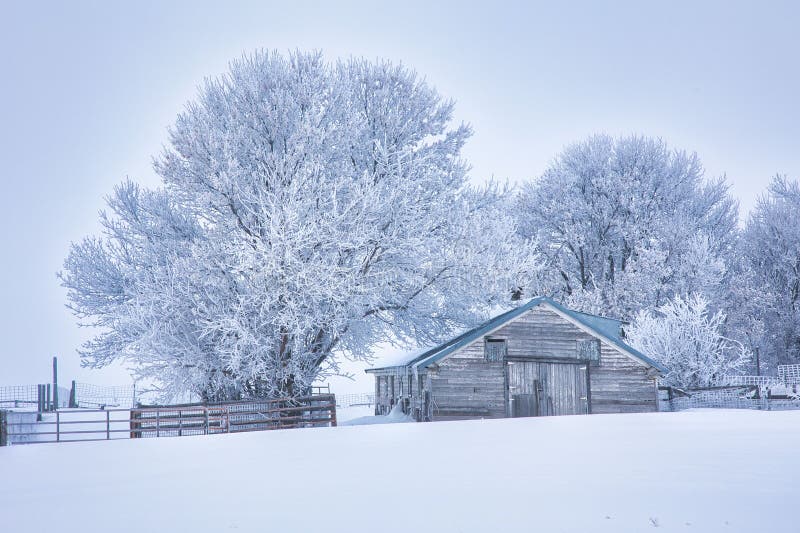 Old Farm Building with Frost-covered Trees Stock Photo - Image of ...