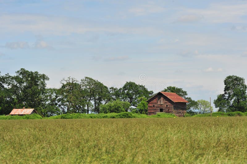Old farm buildings stock photo. Image of decaying, building - 5319098